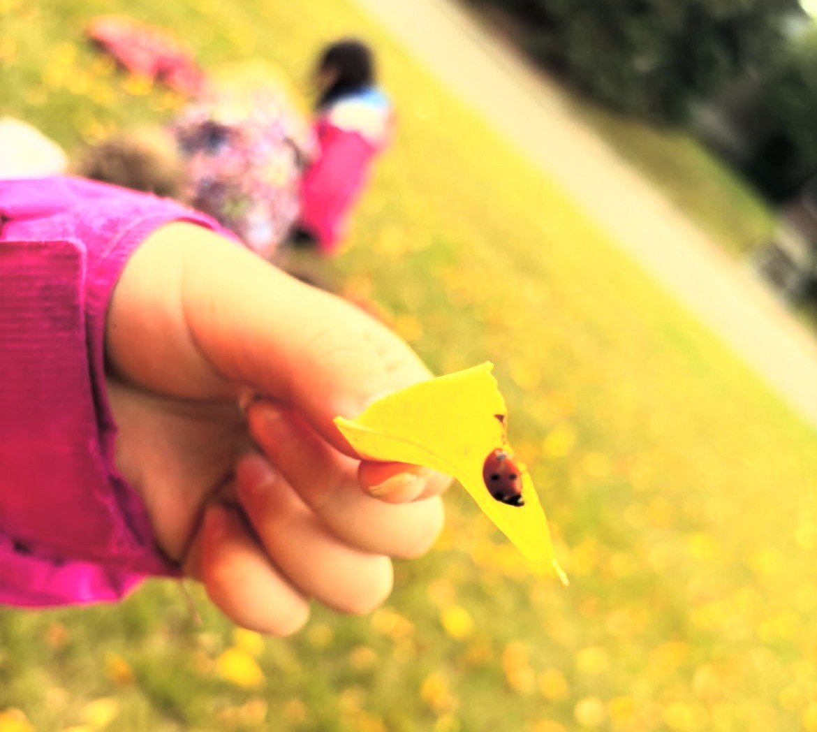 Autumn Leaf at Ladybug Park